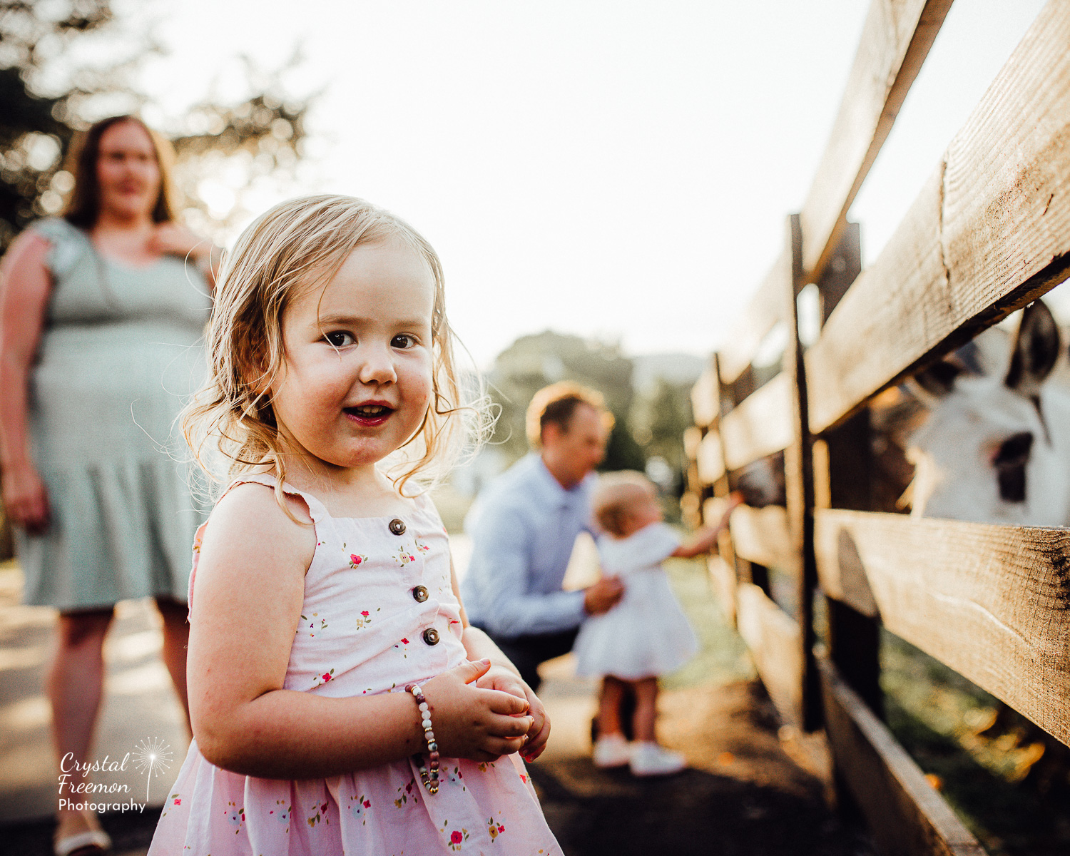 A&E Farm Extended Family Photo Session